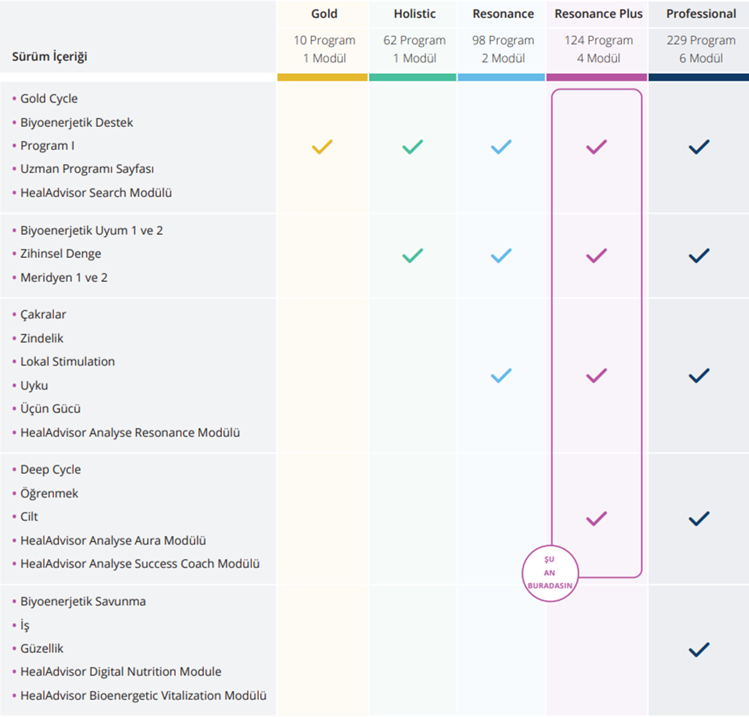 Res. Plus - Healy Frekans Cihazı Satış
